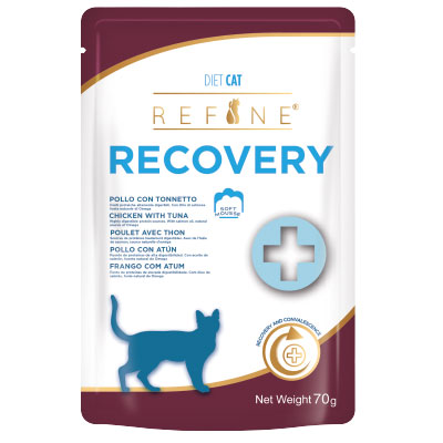 Gatto Recovery | Refine Pet foods